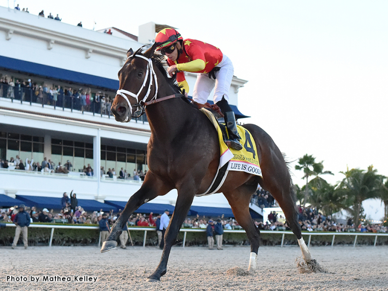 Home | TAK Group Of Companies